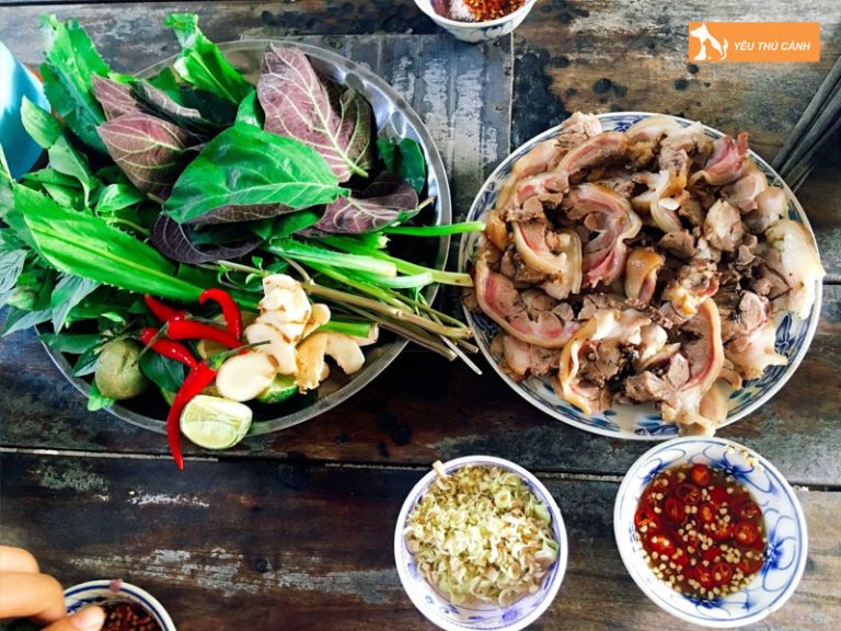 Top 5 quán thịt chó Ninh Bình đông khách mà bạn chưa biết | Thucanh