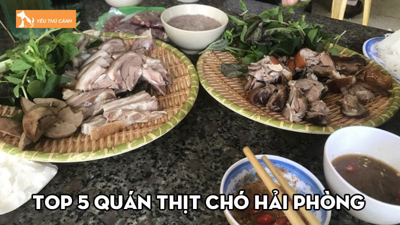 Top 5 quán thịt chó Hải Phòng hút khách đáng ghé đến nhất | Thucanh