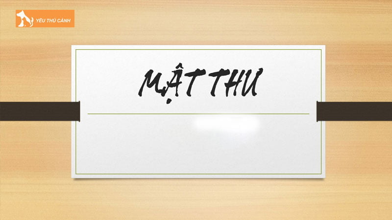 Mật thư là gì? Cách giải mật thư chuồng bò, chuồng bồ câu | Thucanh