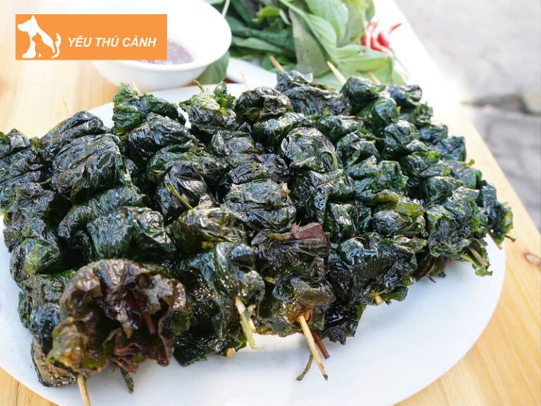 Thịt chó 7 món với các cách chế biến mang hương vị đặc trưng | Thucanh