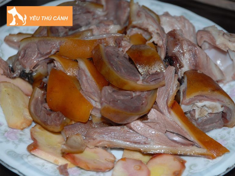 Thịt chó 7 món với các cách chế biến mang hương vị đặc trưng | Thucanh