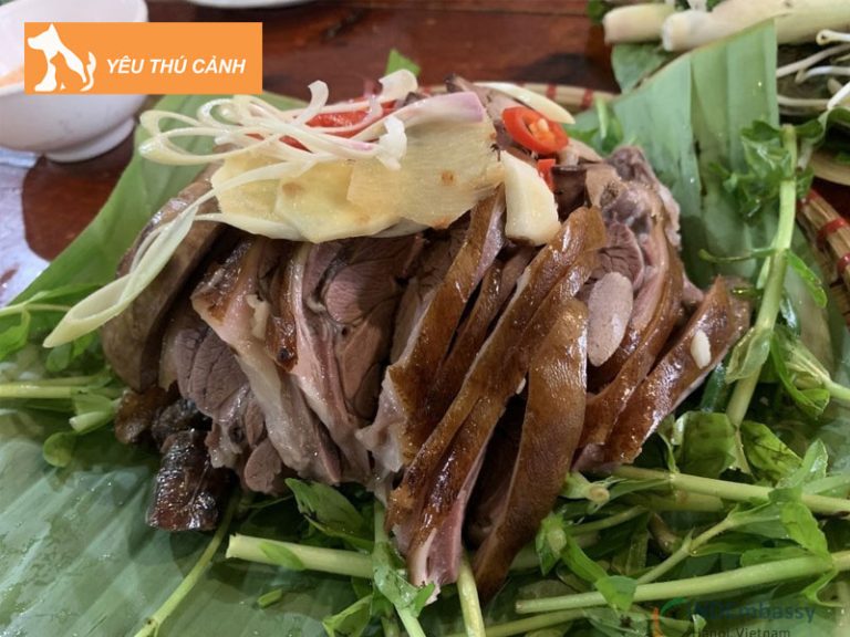 Bật mí 100g thịt chó có chứa bao nhiêu calo? Ăn thịt chó có béo không?